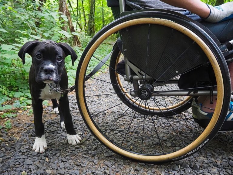 Lignorim Wooden Handrims Are More Than a Novelty - New Mobility